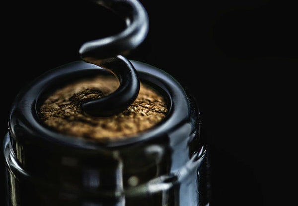 A Beginner's Guide to the Art of Blind Tasting